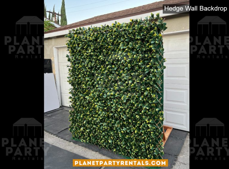 Hedge Wall Backdrop – Planet Party Rentals