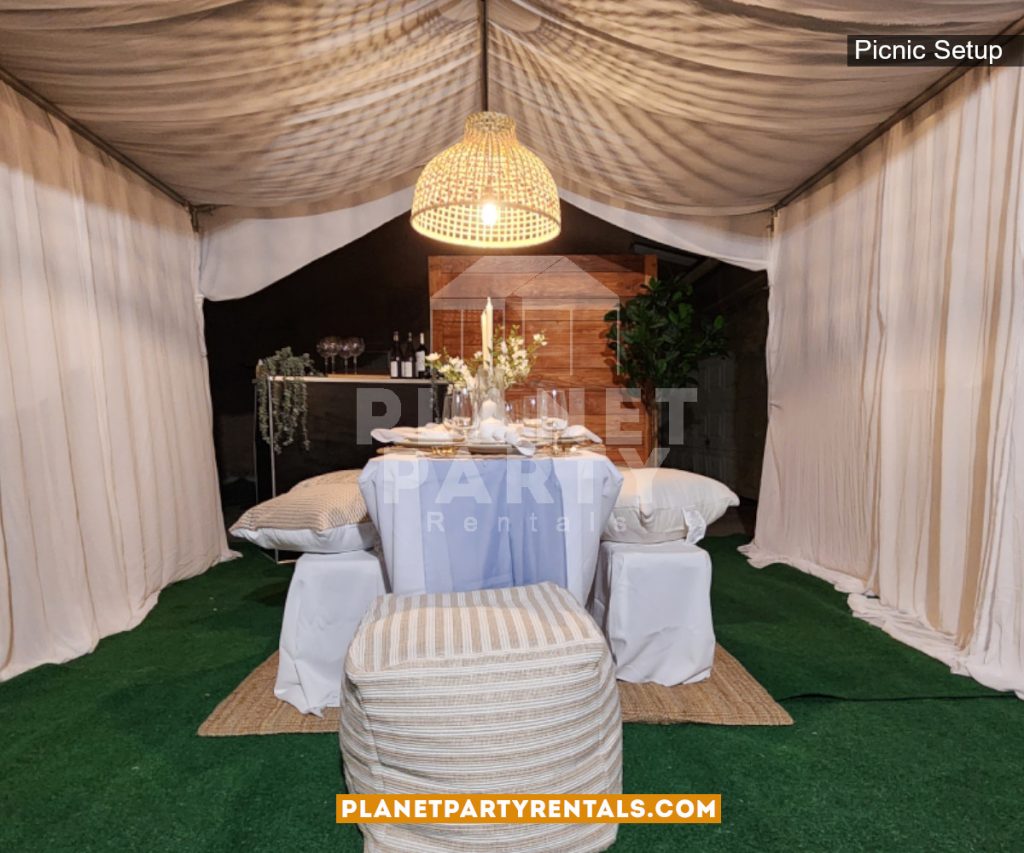 Picnic Setup – Planet Party Rentals